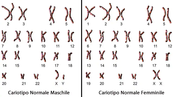 DNA E GENI - Microlearning