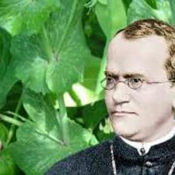 LA GENETICA - Microlearning