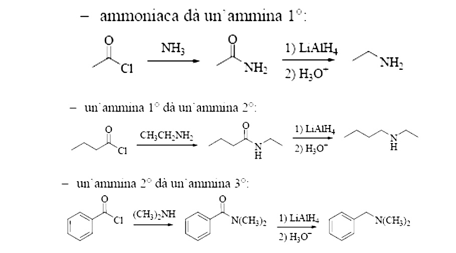 Ammine - Microlearning